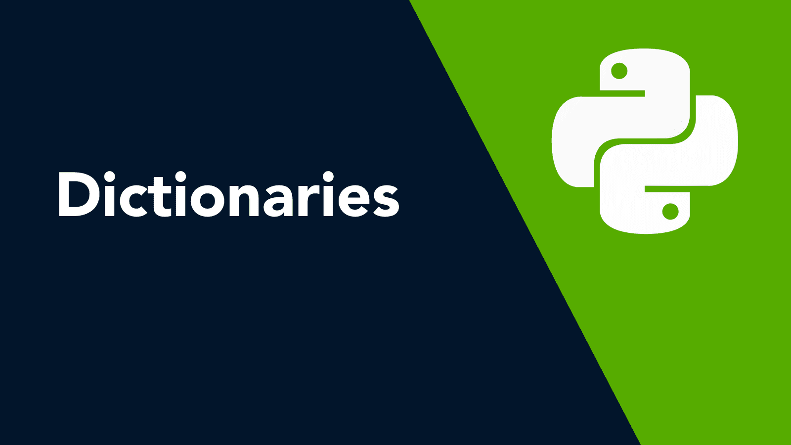 Introduction To Python Programming | The Codex