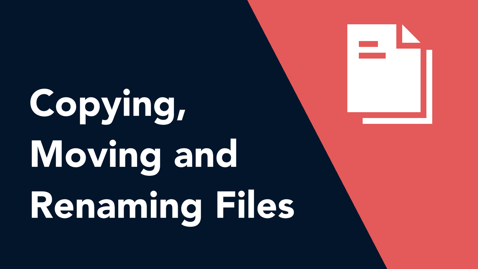 File Input and Output in Python | The Codex
