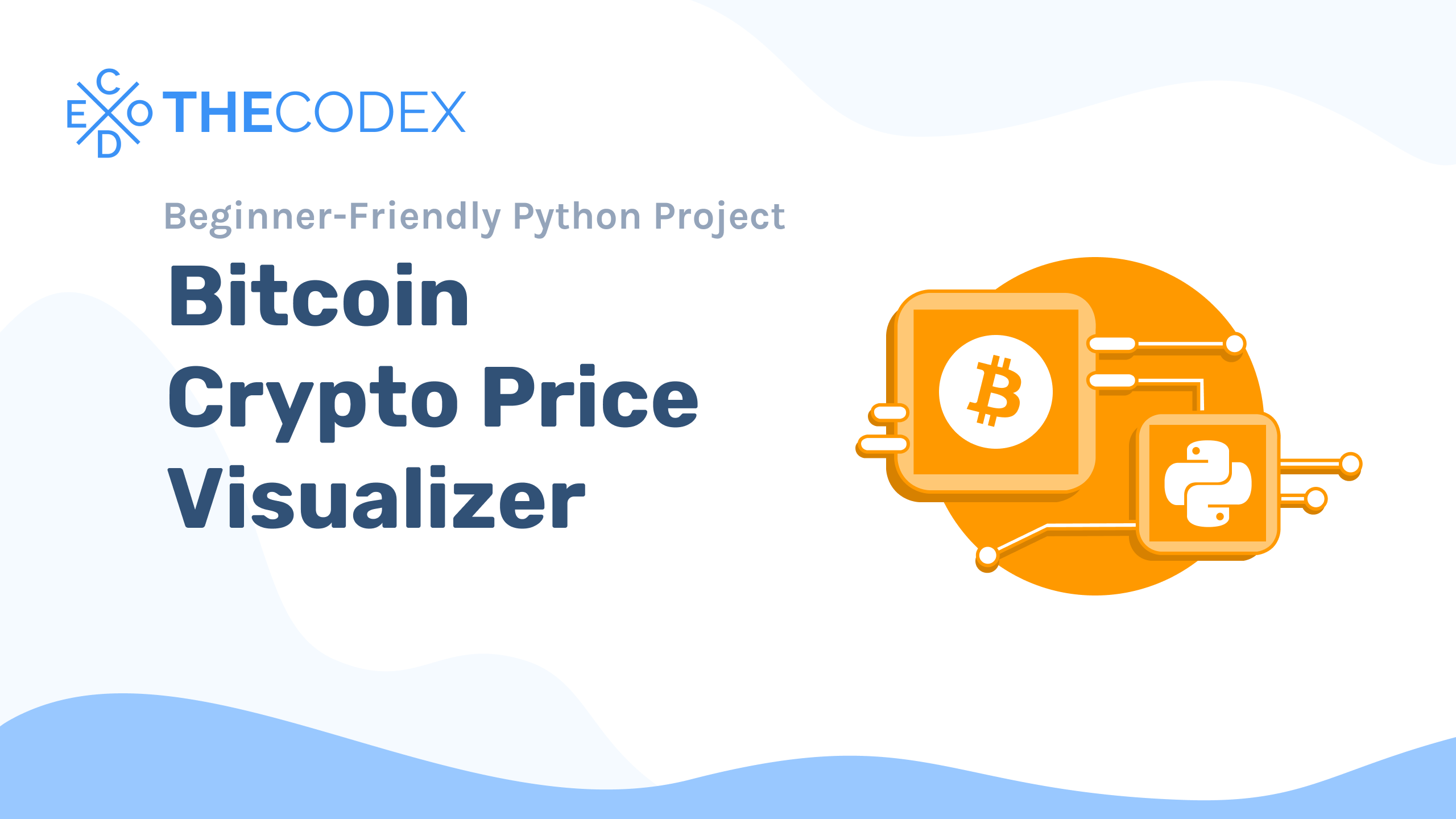 Bitcoin Cryptocurrency Price Visualization | The Codex