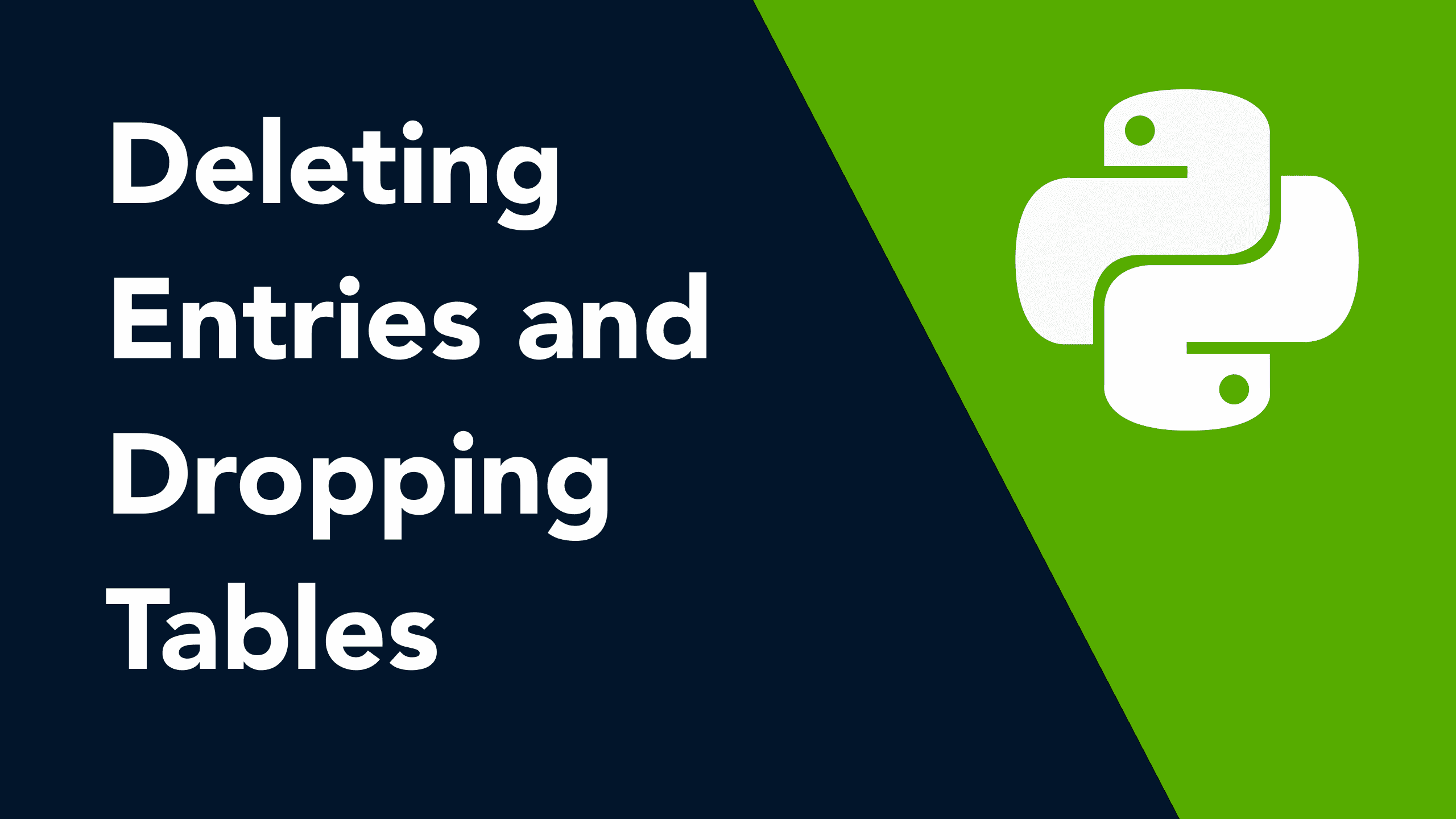 Python and MySQL | The Codex