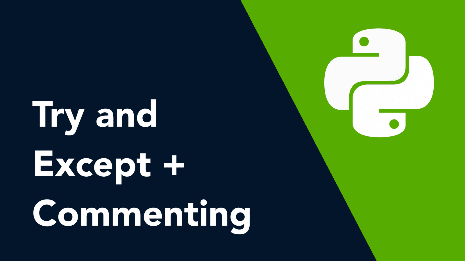 Introduction To Python Programming | The Codex